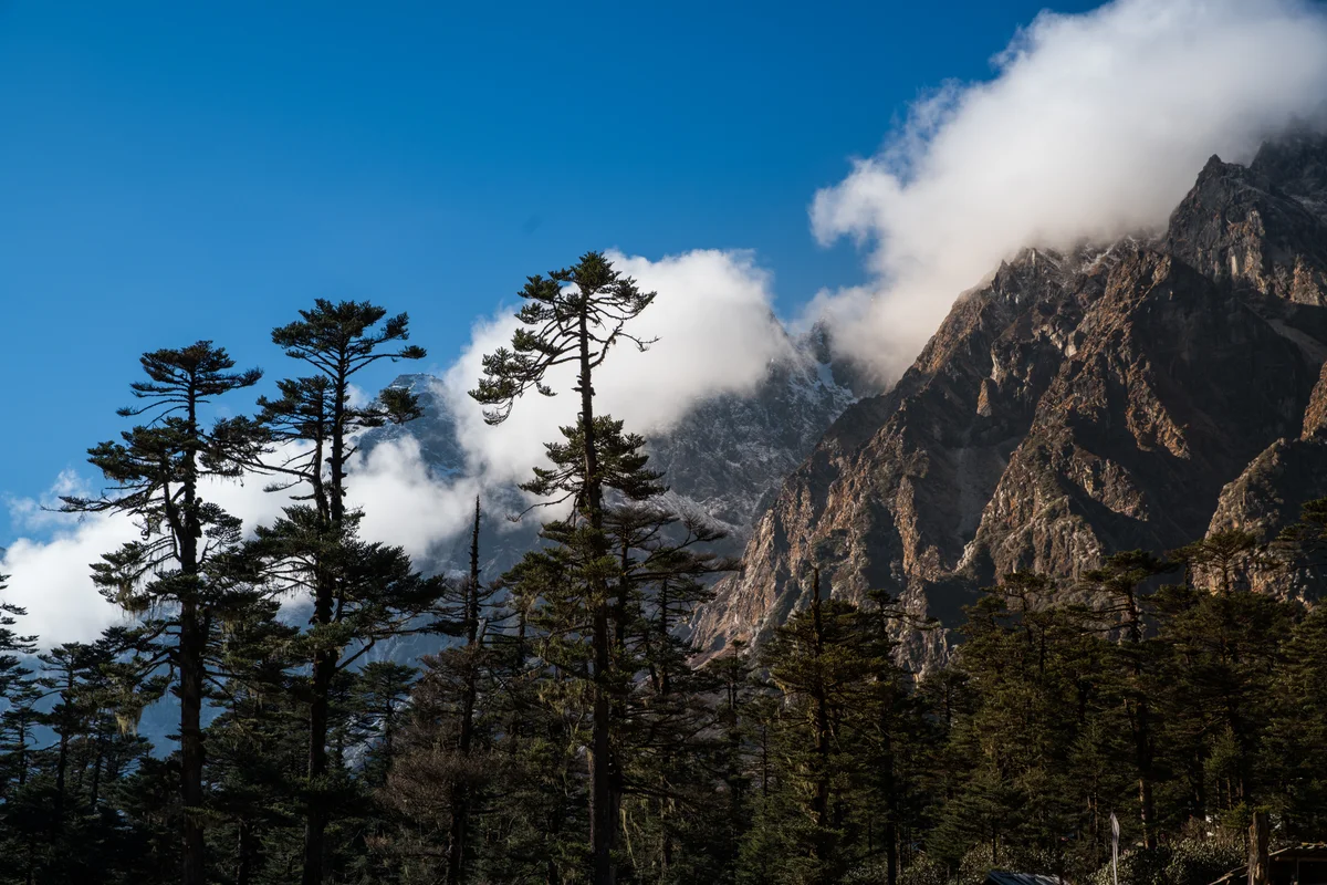 Sikkim in July: the wettest month, what stays open, and why some guests ...